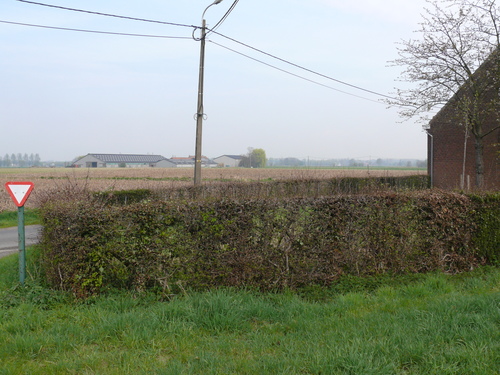 Gemengde haag als erfafsluiting | Inventaris Onroerend Erfgoed