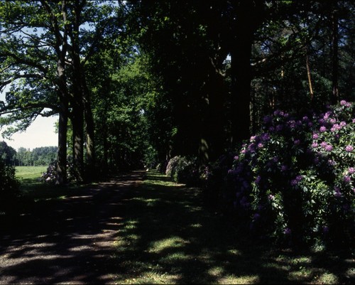 Kasteeldomein van Loye | Inventaris Onroerend Erfgoed