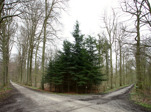 Heverleebos - Zoet Water - Meerdaal- en Mollendaalbos | Inventaris ...