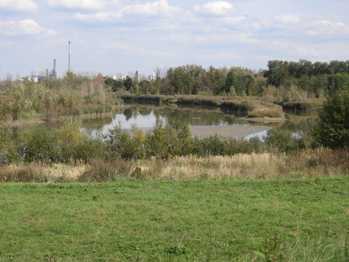 Kreken van Rupelmonde, Kruibeke en Bazel | Inventaris Onroerend Erfgoed