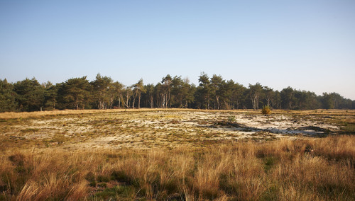 Molse Nete | Inventaris Onroerend Erfgoed