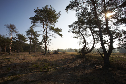 Molse Nete | Inventaris Onroerend Erfgoed